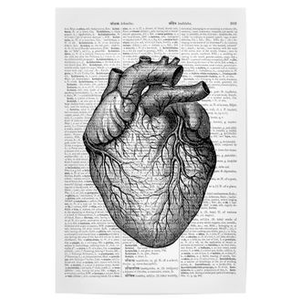 artboxONE Poster 30x20 cm Anatomie Schwarzweiß Heart hochwertiger Design Kunstdruck - Bild märchen antike bücher