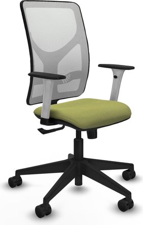 Piqueras y Crespo Schreibtischstuhl in Minzgr&uuml;n, mit wei&szlig;en und schwarzen Armlehnen, h&ouml;henverstellbare Lendenwirbelst&uuml;tze, 3 Positionen, Wei&szlig; / Olivgr&uuml;n