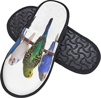 Generic Chaussons Perruches Australiennes Colorées Légers Pantoufles En Coton Antidérapantes Pantoufles Pour Outdoor DIntérieur Chambre M