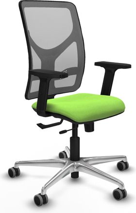 Piqueras y Crespo Stuhl mit Armlehne, h&ouml;henverstellbare Lendenwirbelst&uuml;tze, ausgestattet mit Syncro/Traslack und Schneideschaum, mit Rollen 65 mm, Parkett, Grau/Pistazi