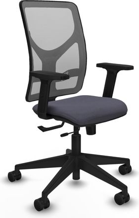 Piqueras y Crespo B&uuml;rostuhl mit Lendenwirbelst&uuml;tze, mit 2D-Armlehnen, ausgestattet mit Syncro/Traslack und Schneideschaum, mit Rollen 65 mm, Nylon, Grau/Dunkelgrau