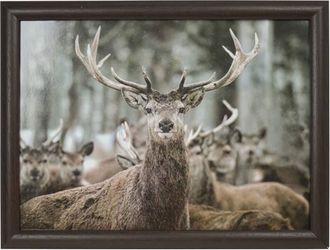 Mars & More Knietablett Lapdesk mit Winter Hirsch 43x33x7 cm