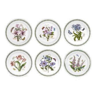 Portmeirion Botanic Garden 25,4 cm Speiseteller