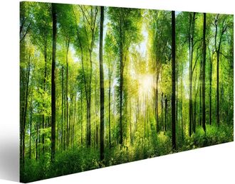 Islandburner Bild auf Leinwand Panorama Von Einem Malerischen Wald Von Frischen Grünen Laubbäume Mit Die Sonne Wirft Ihre Strahlen des Lichtes Durch Das Laub Wandb