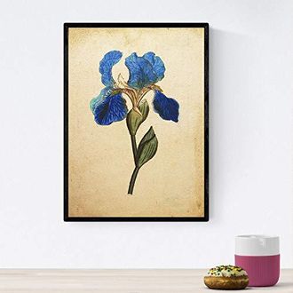 Nacnic affiche des fleurs vintage. Fiche de Iris avec un design vintage. design dint&eacute;rieur Botanique. format A4