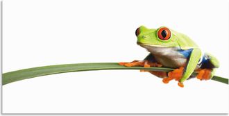 Artland ARTland Wanddeko Wandbild Alu Verbundplatte für Innen & Outdoor Bild 100x50 cm Frosch Tiere Natur Pflanze Blätter Gräser T0OE