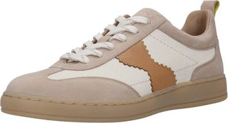 Salamander Sneaker
