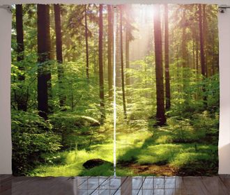 Abakuhaus Wald Rustikaler Vorhang, Sunset Moss Woods Bäume, Wohnzimmer Universalband Gardinen mit Schlaufen und Haken, 280 x 260 cm, Braun Grün