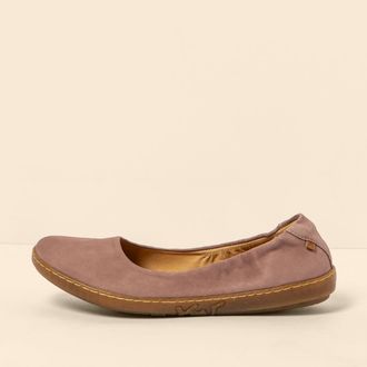 El Naturalista 253003800005