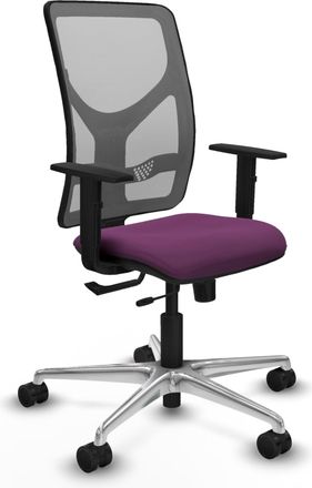 Piqueras y Crespo Arbeitsstuhl mit 1D-Armen, h&ouml;henverstellbare Lendenwirbelst&uuml;tze, ausgestattet mit Syncro/Traslack und Schneideschaum, mit Rollen 65 mm, Nylon, Grau/Vi