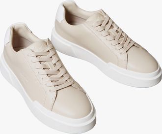 Calvin Klein Baskets basses en cuir