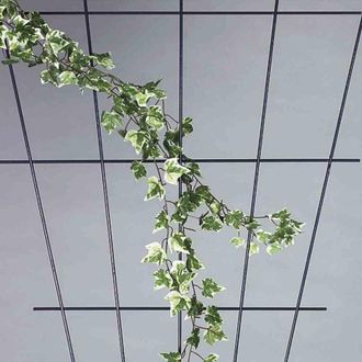 Siena Garden Siena Garden - Rosenspalier V-Form braun 150 x 75 cm mit SB-Reiter