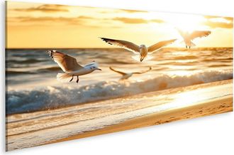 Islandburner Bild auf Leinwand M&ouml;wen Am Strand Bei Sonnenuntergang Bilder Wandbilder Poster