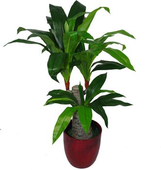 Leaf Design UK Künstliche Pflanze, breiter Stamm mit DREI Zweigen, Kunststoff, 75 cm, Schwarz