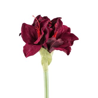 Creativ Green Amaryllis Kunstblume 50 cm Rubin rot - Weihnachtsdeko - Kunstblumen f&uuml;r Festliche Dekoration & Advent - Weihnachtsstern - weihnachtliche k&uuml;nstliche Am