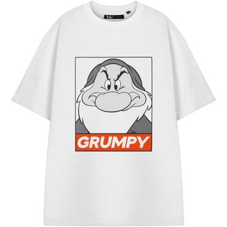 Disney Snow White The Seven Dwarfs Grumpy