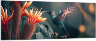 Arttor Panorama Bilder auf Glas Vogel Exotisch Blume Glasbild 140x50cm Wandbilder Dekoration Wohnzimmer Schlafzimmer K&uuml;che Gro&szlig; XXL Wanddeko Bild im Glas Wan