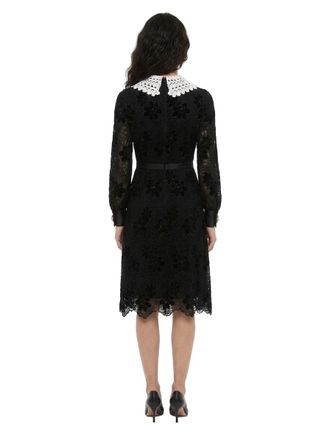 Dolce & Gabbana Lace Collar Dress - Black
