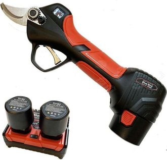 Blue Bird Akku-Baumschere PS 22-23 BLUE BIRD MIT 2 BATTERIEN 885940