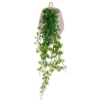 Atmosphera Atmosphera - Lierre Artificiel - Pot en Ciment - H62 cm