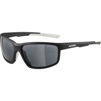 Alpina Herren Brille DEFEY