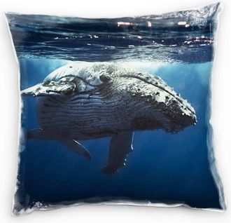 Paul Sinus Art Tiere, Buckelwal, Unterwasser, grau, blau Deko Kissen 40x40cm f&uuml;r Couch Sofa Lounge Zierkissen - Dekoration zum Wohlf&uuml;hlen