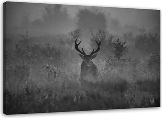 Feeby Bilder Hirsch 120x80 cm 1 Teilig Wohnzimmer Schlafzimmer Büro Flur Küche Wandbilder Leinwandbilder Modern Bild auf Leinwand Wanddekoration Kunstdruck 