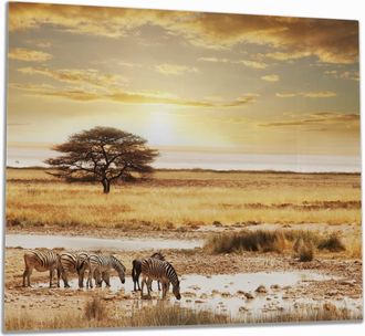 Wallario Herdabdeckplatte/Spritzschutz aus Glas, 1-teilig, 60x52cm mit 13mm hohen F&uuml;&szlig;en, f&uuml;r Ceran- und Induktionsherde, Safari in Afrika eine Herde Zebras am 