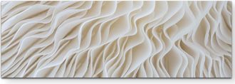 Paul Sinus Art Leinwandbilder | Bilder Leinwand 120x40cm Struktur eines Pilz