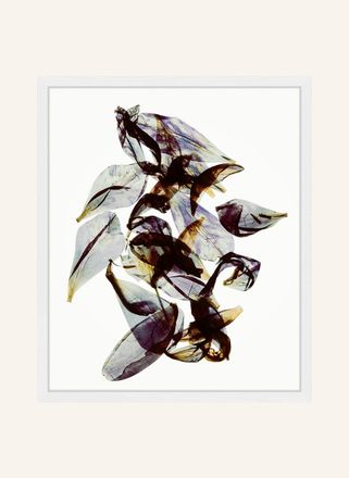 Any Image Any Image Wandbild Rhododendron Mit Rahmen weiss