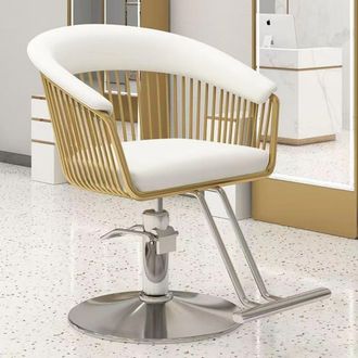 Generic Professioneller Friseurstuhl f&uuml;r Den Heimsalon, Hydraulischer Friseurstuhl mit Schwenkbarer, Verstellbarer Pumpe