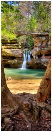 Wallario Glasbild Versteckter Platz im Wald - 50 x 125 cm Wandbilder Glas in Premium-Qualit&auml;t: Brillante Farben, freischwebende Optik