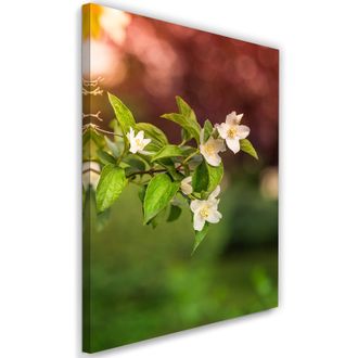 Feeby Wanddeko Blumen Leinwandbilder Kunstdruck Bl&auml;tter Natur Gr&uuml;n 40x60 cm