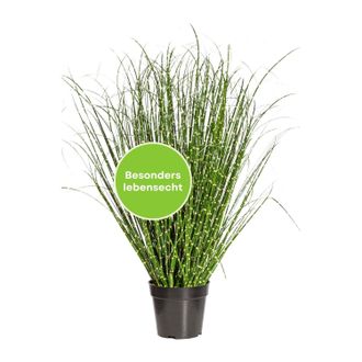 Creativ Green Miscanthus Zebrinus Gras 80cm I Kunstgras mit naturgetreuen Gr&auml;sern in gr&uuml;n I realit&auml;tsnahe Dekogras Kunstpflanze im Topf I Pflegeleichte Gr&auml;ser k&uuml;nst