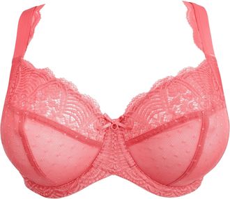 SugarShape BH Clara Lace