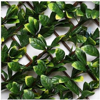 No Brand No Brand - K&uuml;nstliche Hecke mit Gitter aus nat&uuml;rlichem Lorbeerholz, ausziehbar 1 x 2 Meter