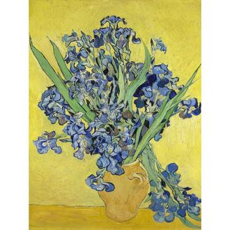 Fine Art Prints Van Gogh Iris-Malerei, Kunstdruck, Poster, Wanddekoration, 30,5 x 40,6 cm