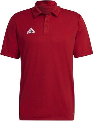 adidas Performance T-Shirt adidas Performance Entrada 22 Poloshirt Polos Polyester