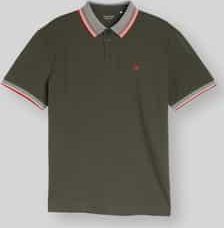 Tom Tailor Regular Fit Poloshirt aus reiner Baumwolle
