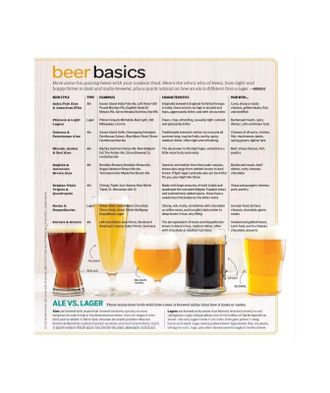 Generic Vintage Beer Basics Educational Poster - Visual Guide to Ale, Lager Styles and Food Pairings, Wall Art Decor for Craft Beer Lovers, Home Bar(Unframed,