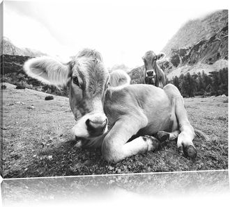 Pixxprint Almkuh in den Bergen, Größe: 100x70cm, Leinwandbild, fertig gespannt, Wandbild, Dekoration, Kunstdruck, kein Poster