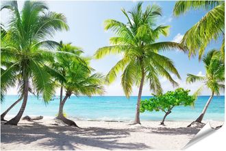 Islandburner XXL Bild Poster Catalina Insel Mit Palmen In Der Dominikanischen Republik Premium Bilder Fotodruck