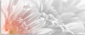 Pixxprint Glasbild Panorama, Wandbild aus Echtglas, Gerbera-Blume, 100x40 cm, inkl. Aufh&auml;ngung und Abstandshalter