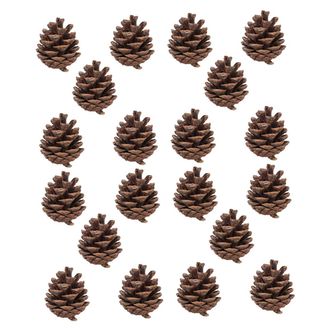 BESPORTBLE 30 St&uuml;ck Nat&uuml;rliche Tannenzapfen 5 7cm zum Basteln Weihnachtsbaum Dekoration Party H&auml;ngeschmuck Rustikal Selbstgemacht Weihnachtsdeko