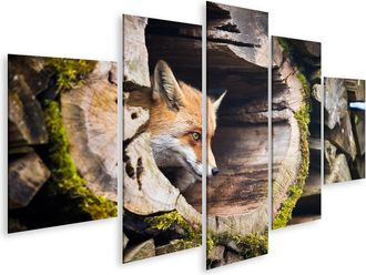 Islandburner Bild auf Leinwand Fuchs Im Baumstamm Versteckt Bilder Wandbilder Poster