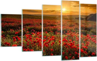 Arttor Mehrteilige Bilder auf Glas Mohn Blume Wiese Glasbild 100x60cm Wandbilder Dekoration Wohnzimmer Schlafzimmer Küche Set 5 teilige Groß Wanddeko Bild im