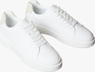 Calvin Klein Baskets basses en cuir lisse