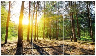 Wallario Herdabdeckplatte/Spritzschutz aus Glas, 3-teilig, 90x52cm, f&uuml;r Ceran- und Induktionsherde, Sonnenstrahlen tief hinter dem Wald