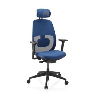 hjh OFFICE B&uuml;rostuhl Skandis Pro mit Kopfst&uuml;tze - Ergonomischer Profi-Drehstuhl mit Synchronmechanik, 3D-Netzr&uuml;ckenlehne, Lordosenst&uuml;tze & 4D-Armlehnen, Blau