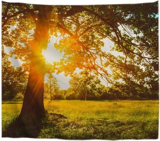 A.Monamour Wanddekor Wandteppiche Sommer Sonnenuntergang Zeit Sonnen Durch Wald Baum Grün Gras Natur Landschaft Bild Hintergründe Stoff Wand Tapisserie Wandbehän